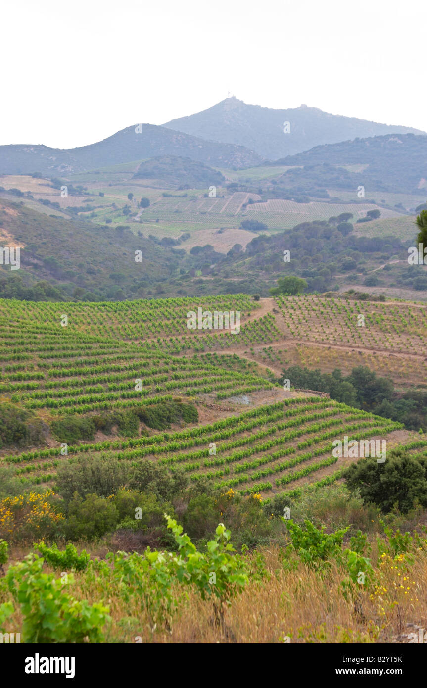 Matassa hi-res stock photography and images - Alamy