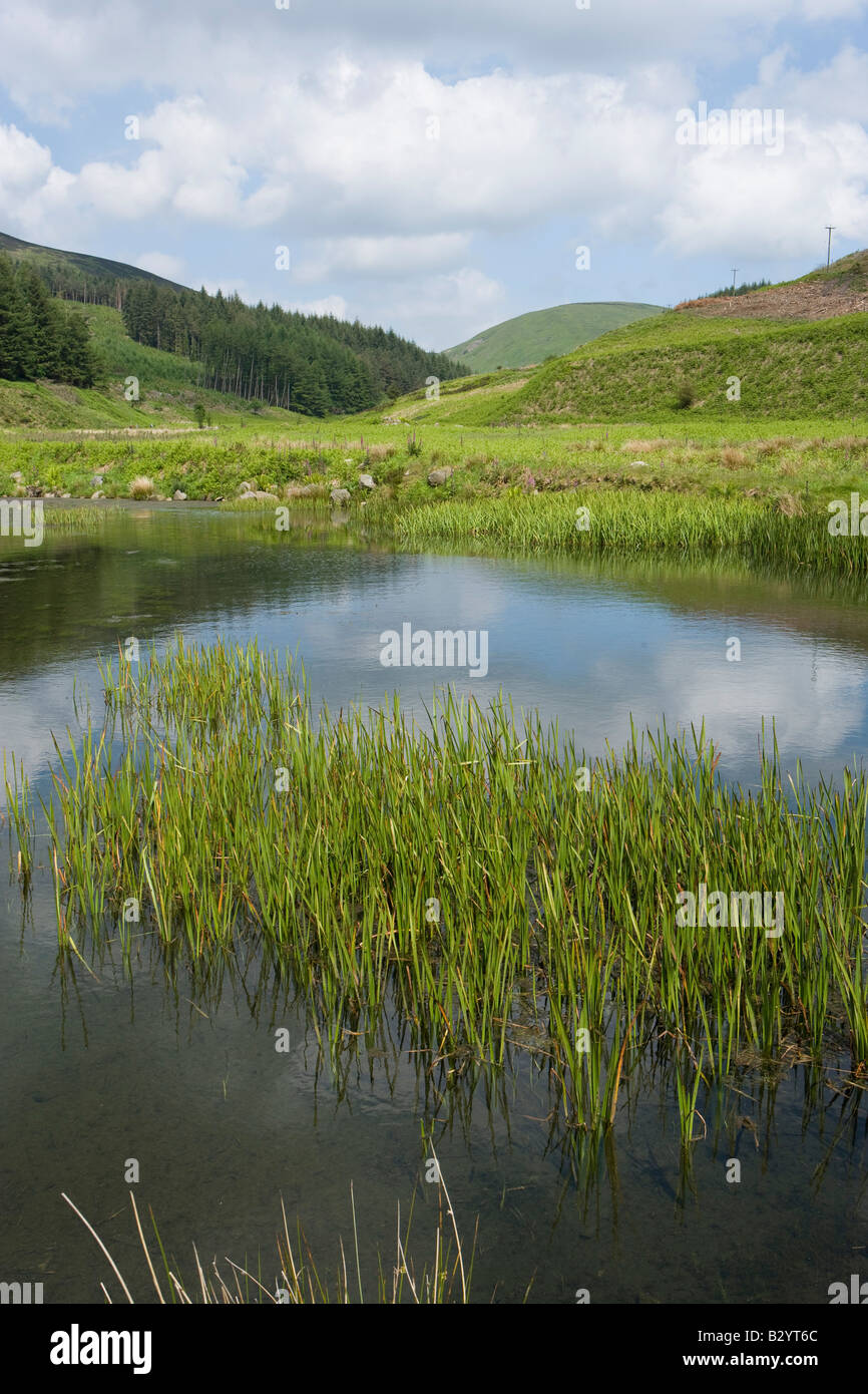 Small upland lake hi-res stock photography and images - Alamy