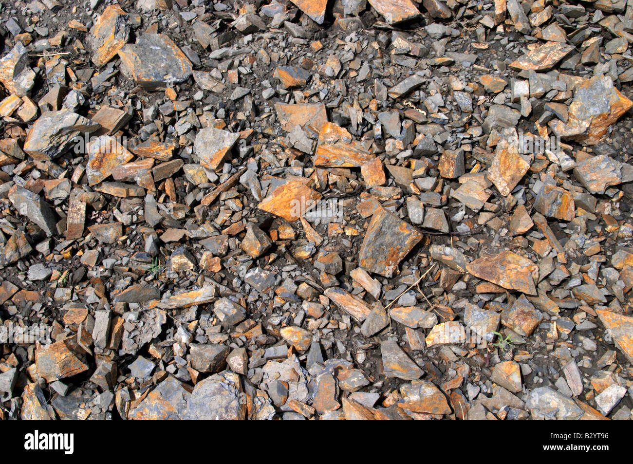Soil detail. Slate. The black soil. Called Terres Brulees, burnt soil ...