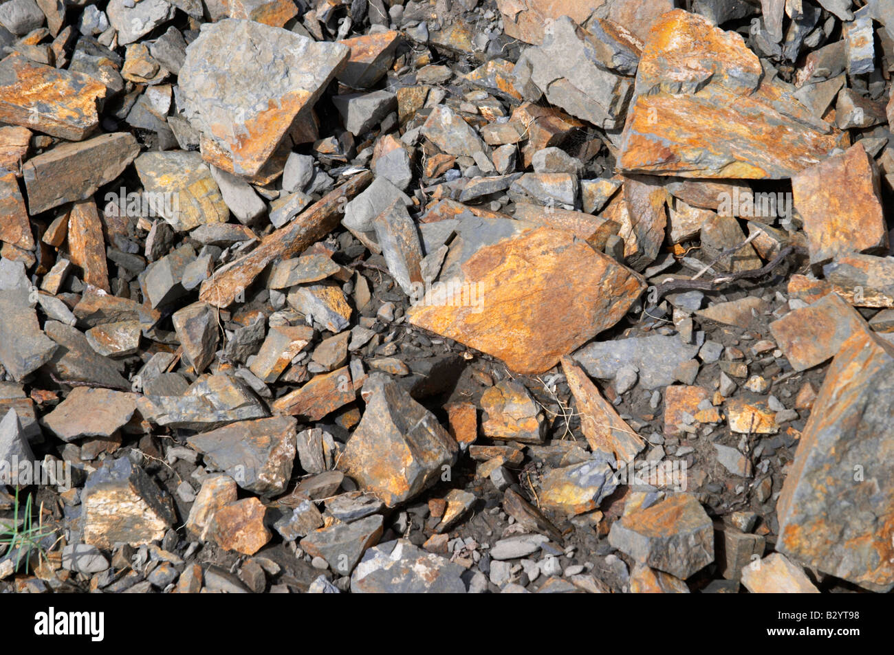 Soil detail. Slate. The black soil. Called Terres Brulees, burnt soil ...