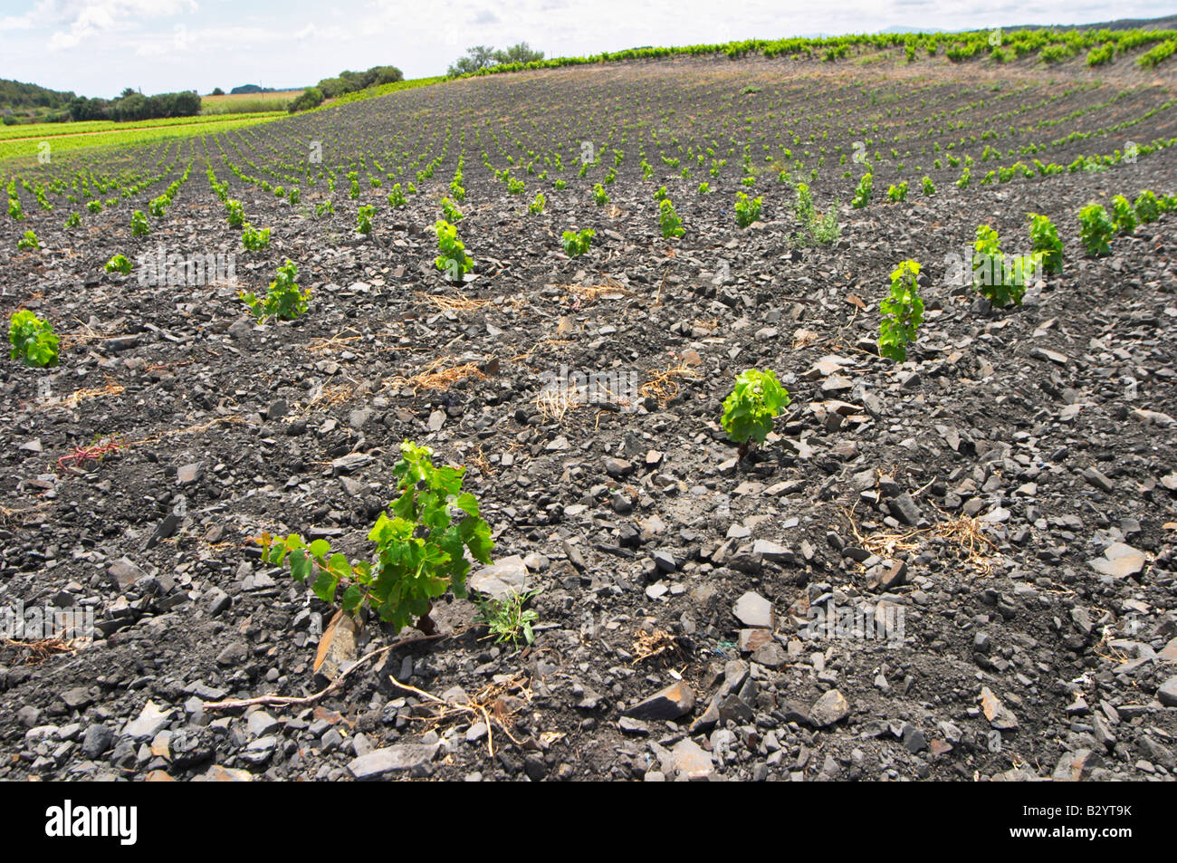 Slate soil hi-res stock photography and images - Alamy