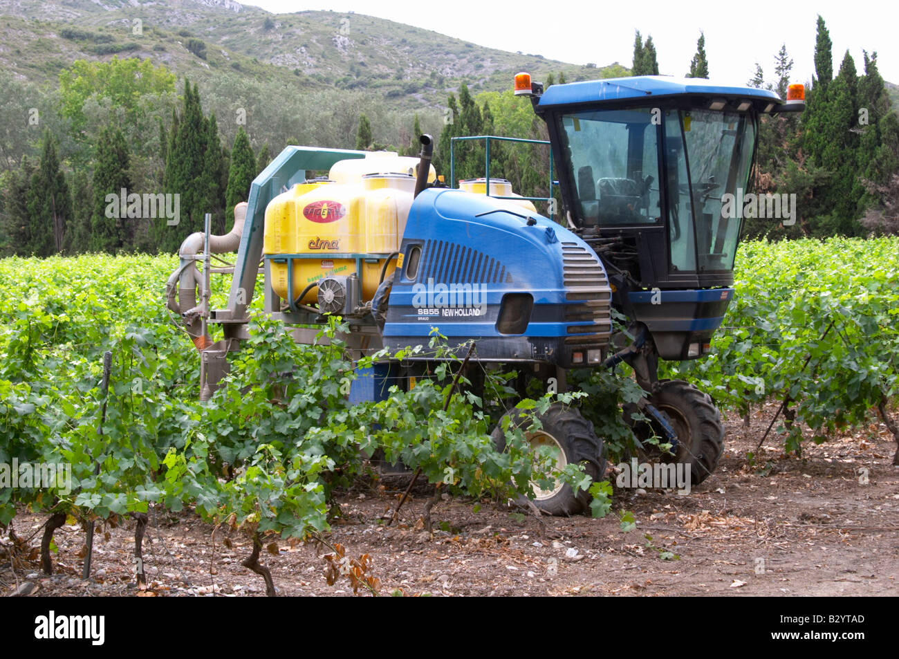 Spraying with a tractor in the vineyard. Chateau de Jau, Cases de Pene ...