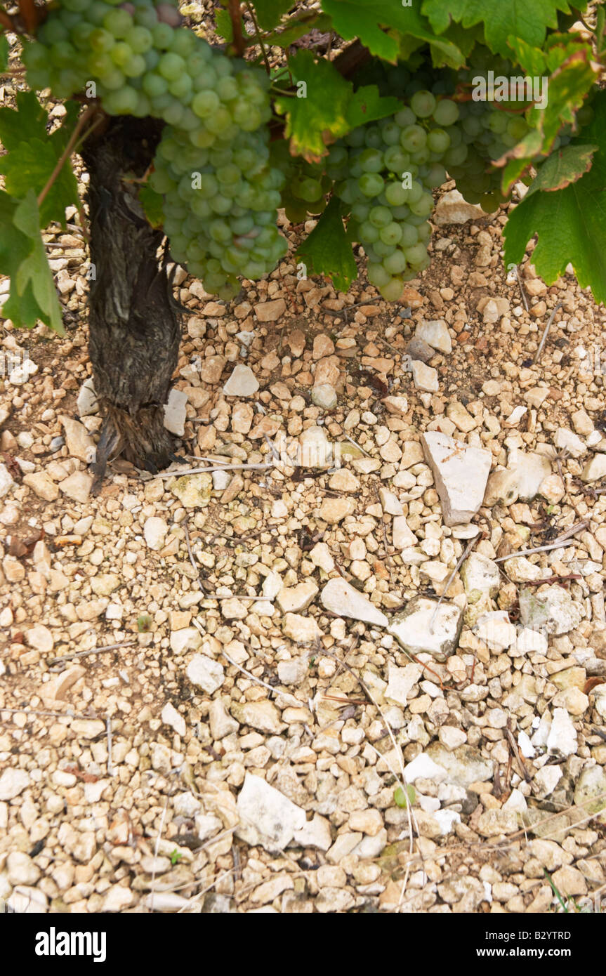 Calcareous rocks detail hi-res stock photography and images - Alamy