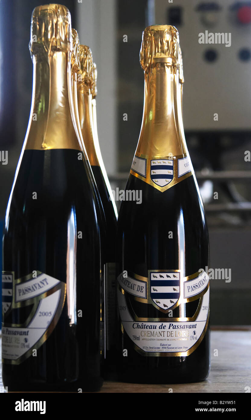 Cremant de Loire. Chateau de Passavant, Anjou, Loire, France Stock ...