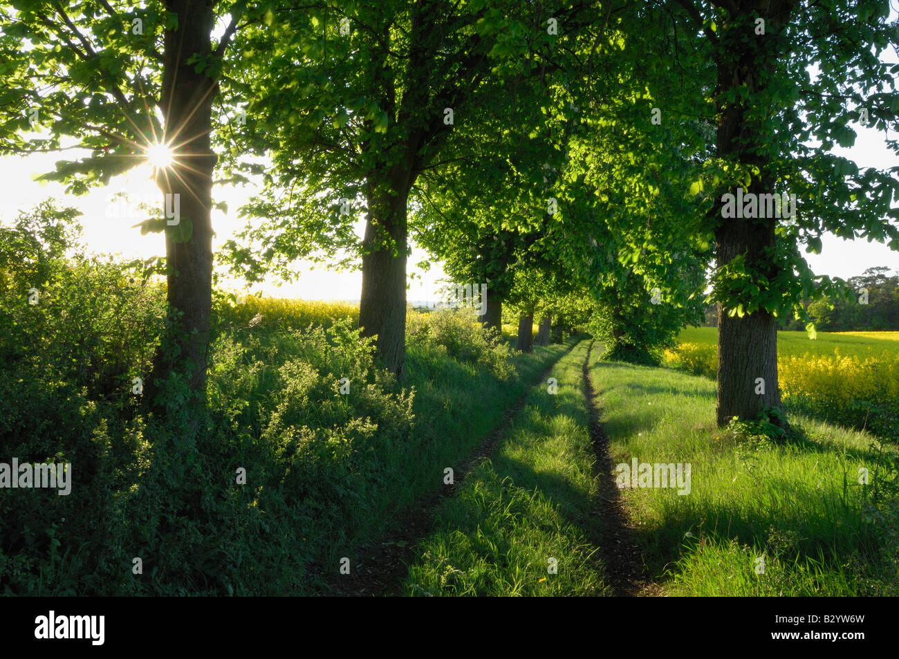 Grass less land hi-res stock photography and images - Alamy