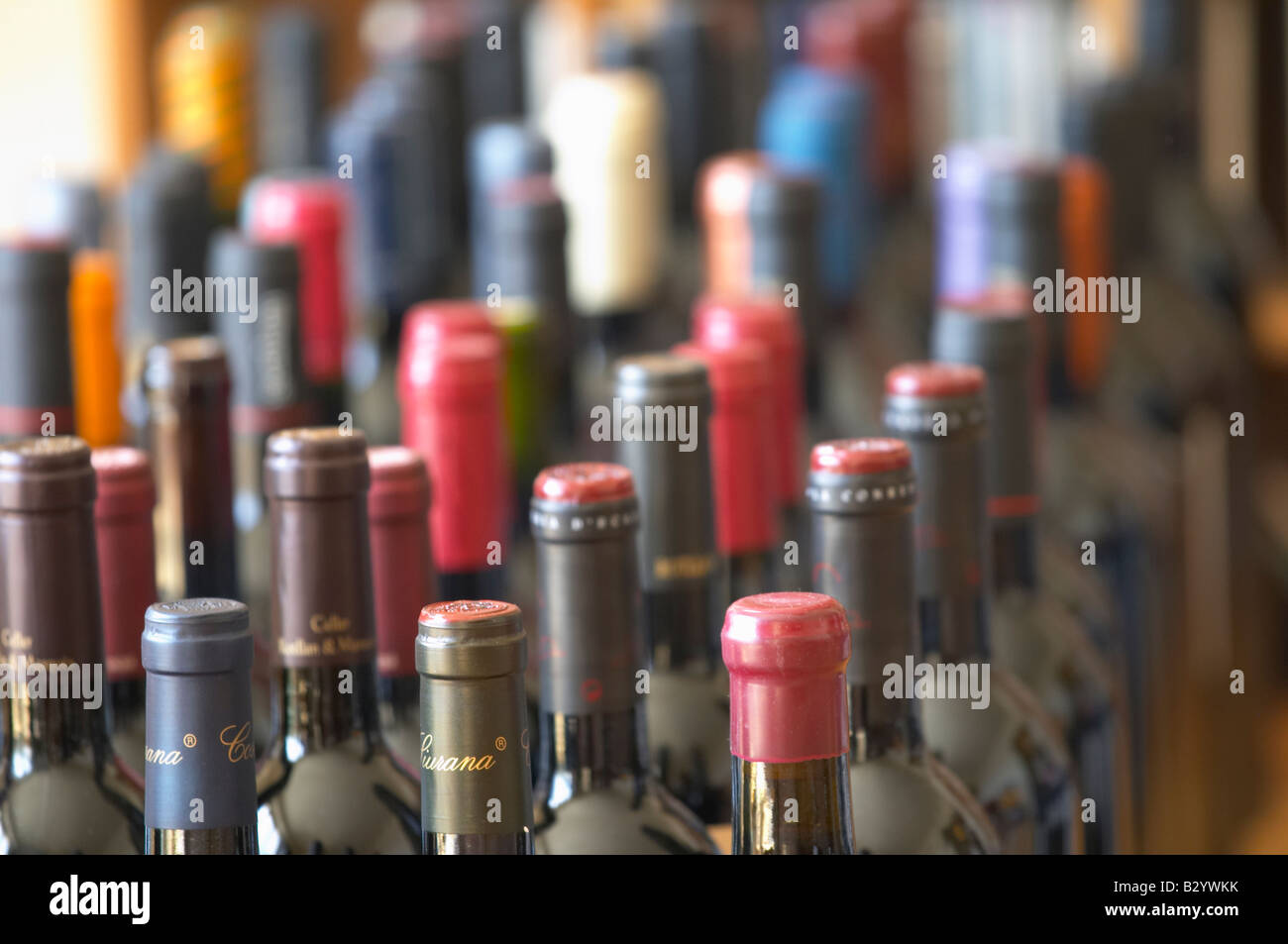 Many bottles and bottle necks in preparation for a large winetasting ...