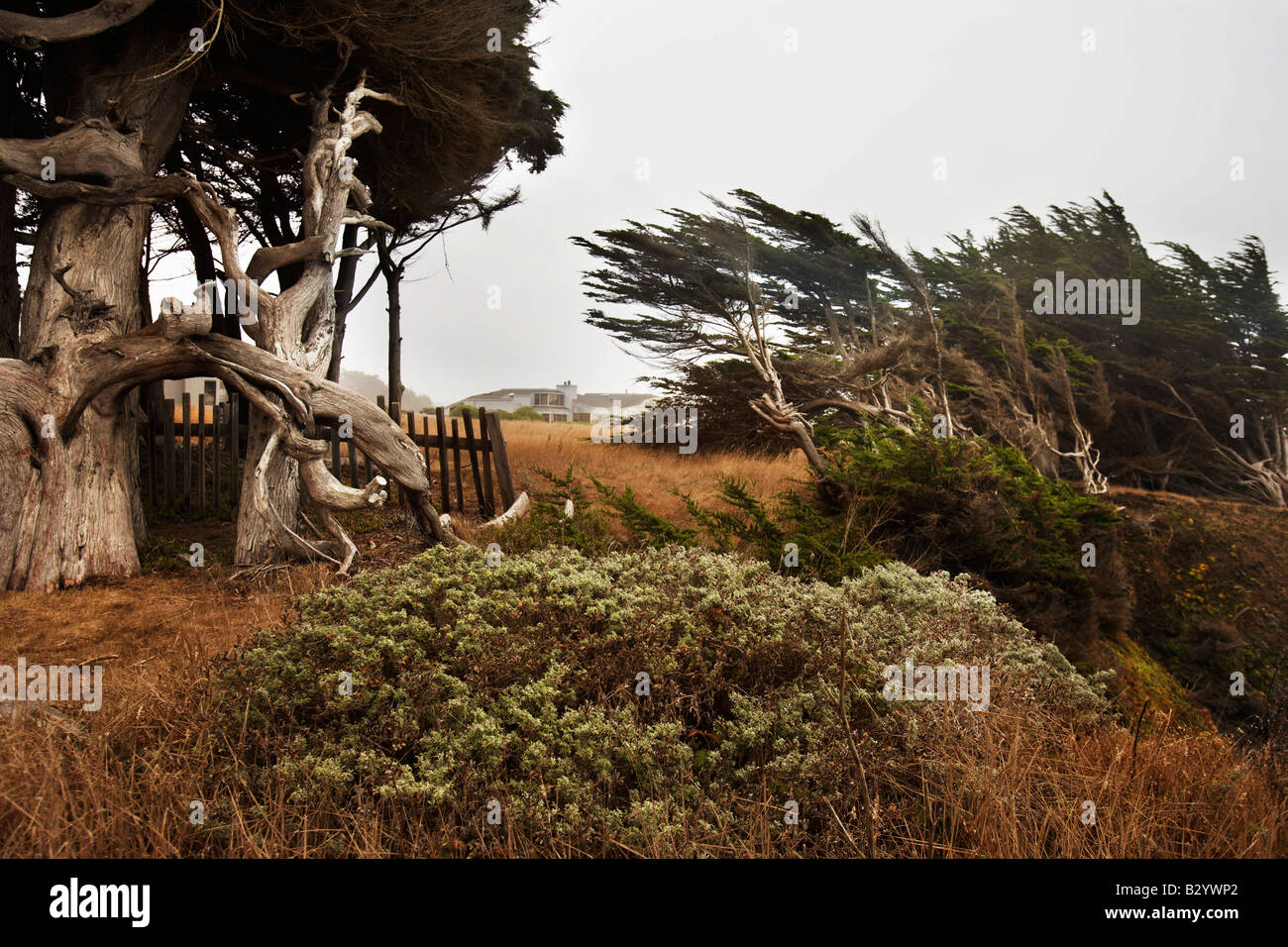North California, California, USA Stock Photo - Alamy