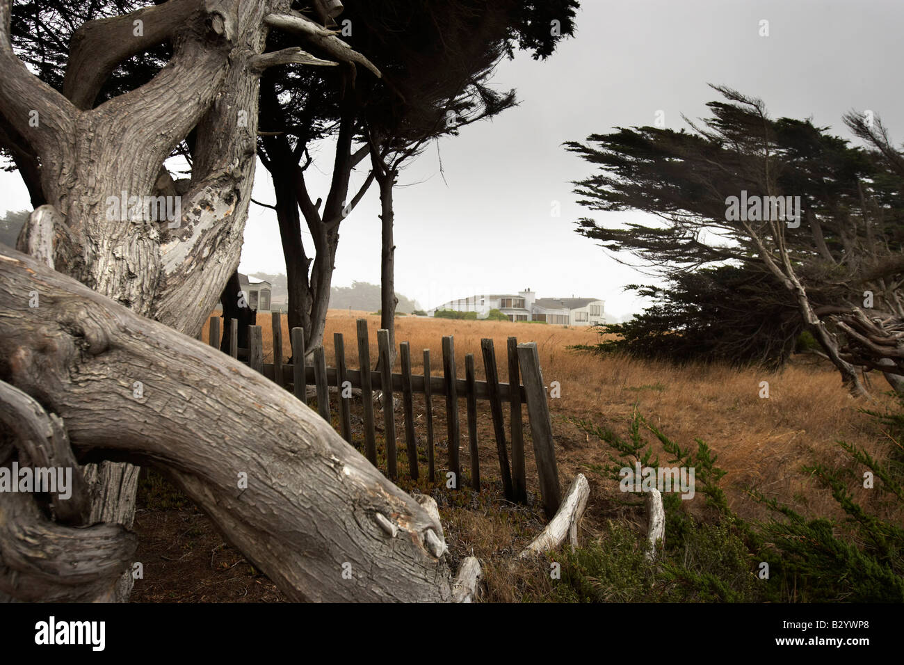 North California, California, USA Stock Photo - Alamy