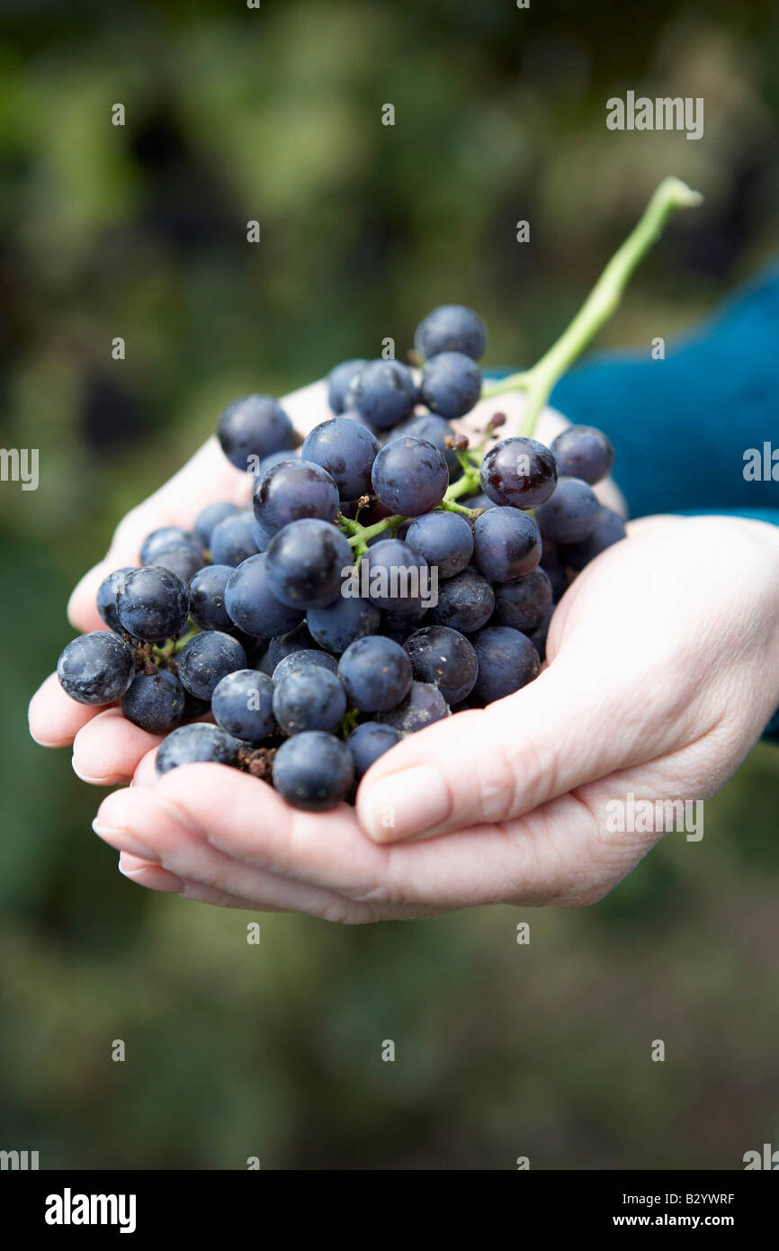 Beauty single solo one human person hi-res stock photography and images ...