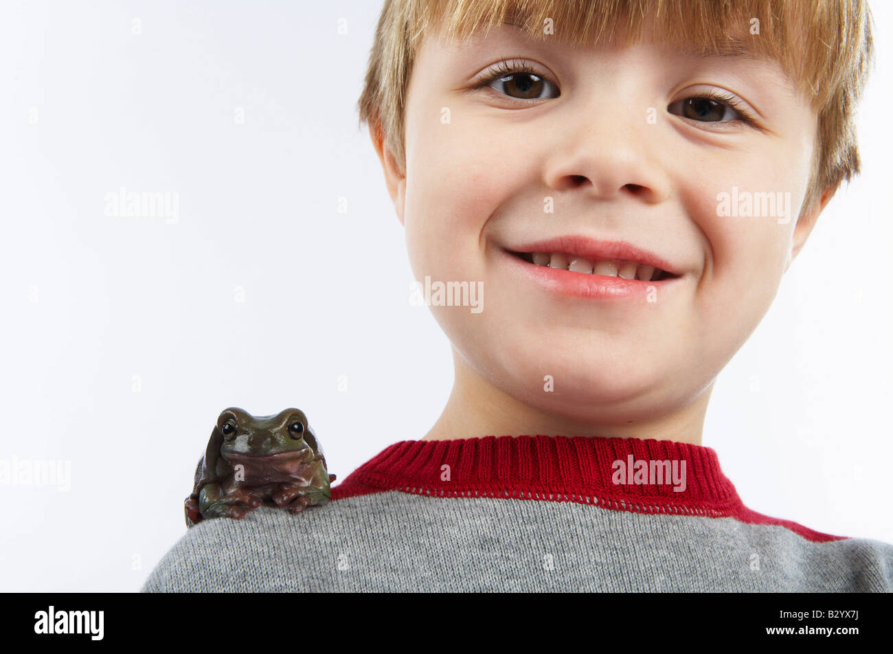 Frog Facing Camera High Resolution Stock Photography and Images - Alamy