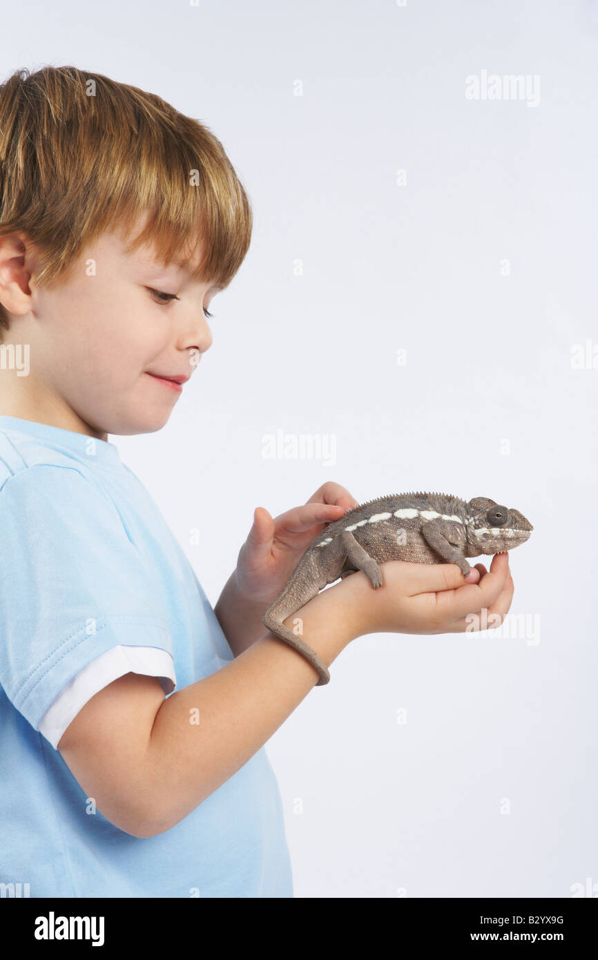 Holding Lizard High Resolution Stock Photography and Images - Alamy