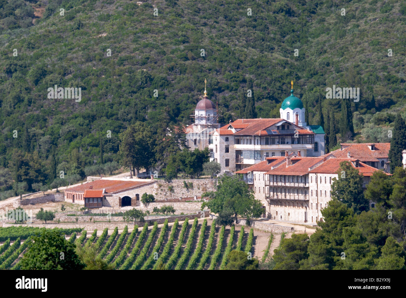 The Tsantalis sponsored monastery. Vineyard. Mount Athos. Tsantali ...