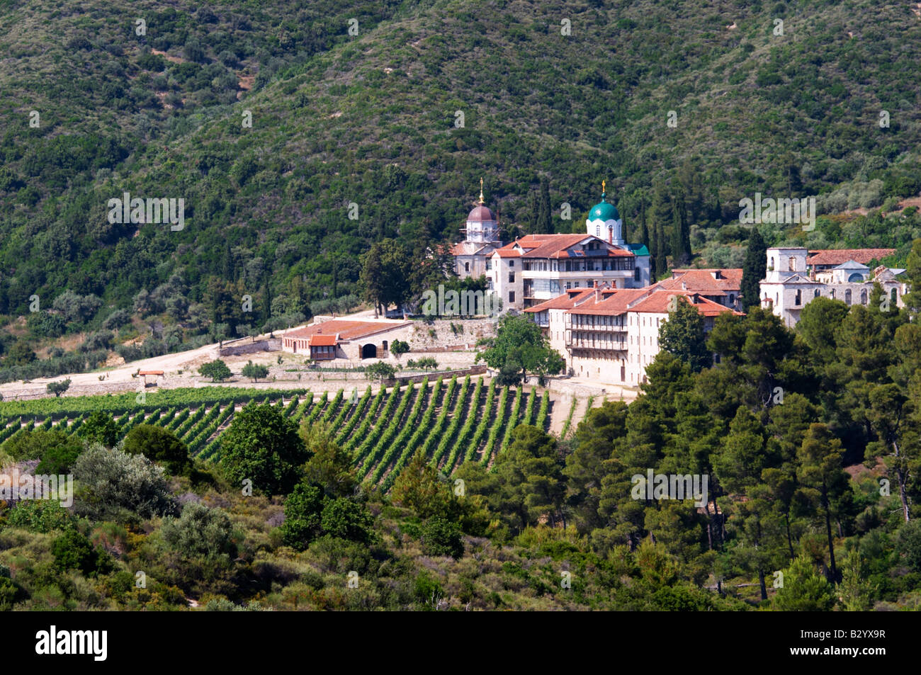 The Tsantalis sponsored monastery. Mount Athos. Tsantali Vineyards ...