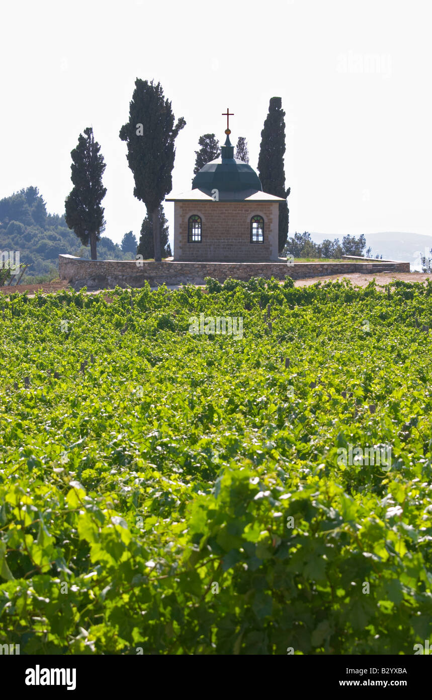 Vineyard. Chapel. The Tsantalis sponsored monastery. Mount Athos ...