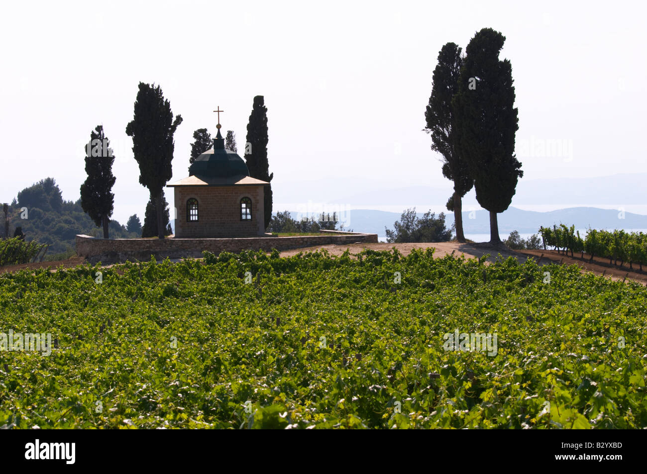 Vineyard. Chapel. The Tsantalis sponsored monastery. Mount Athos ...