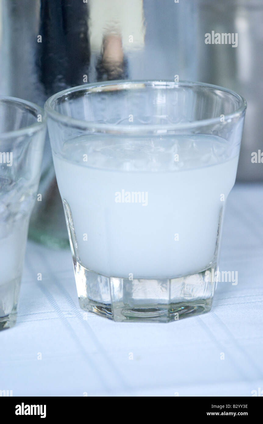 Glass of tsipouro. Kir-Yianni Winery, Yianakohori, Naoussa, Macedonia ...