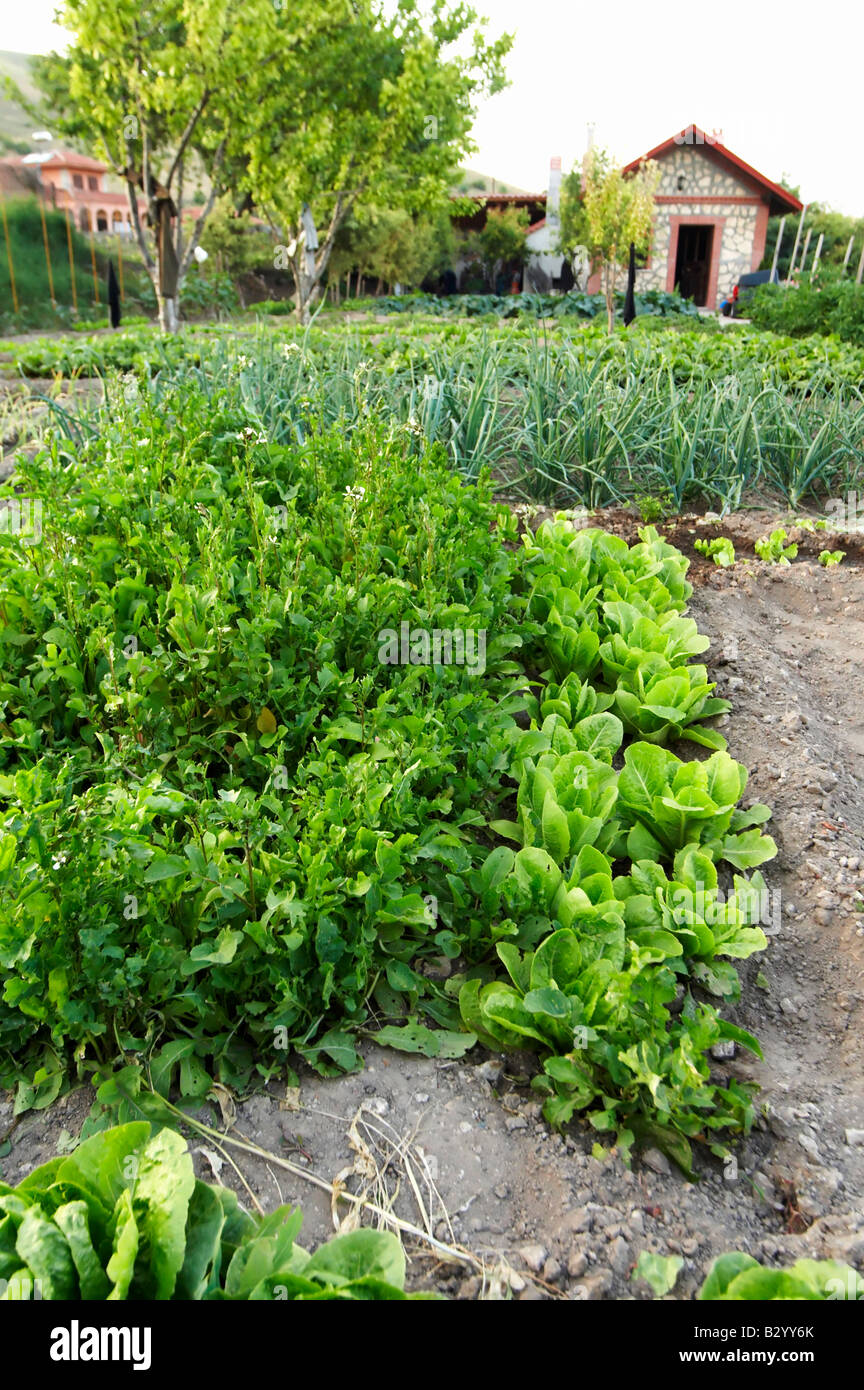 Potager Kitchen Garden High Resolution Stock Photography and Images - Alamy