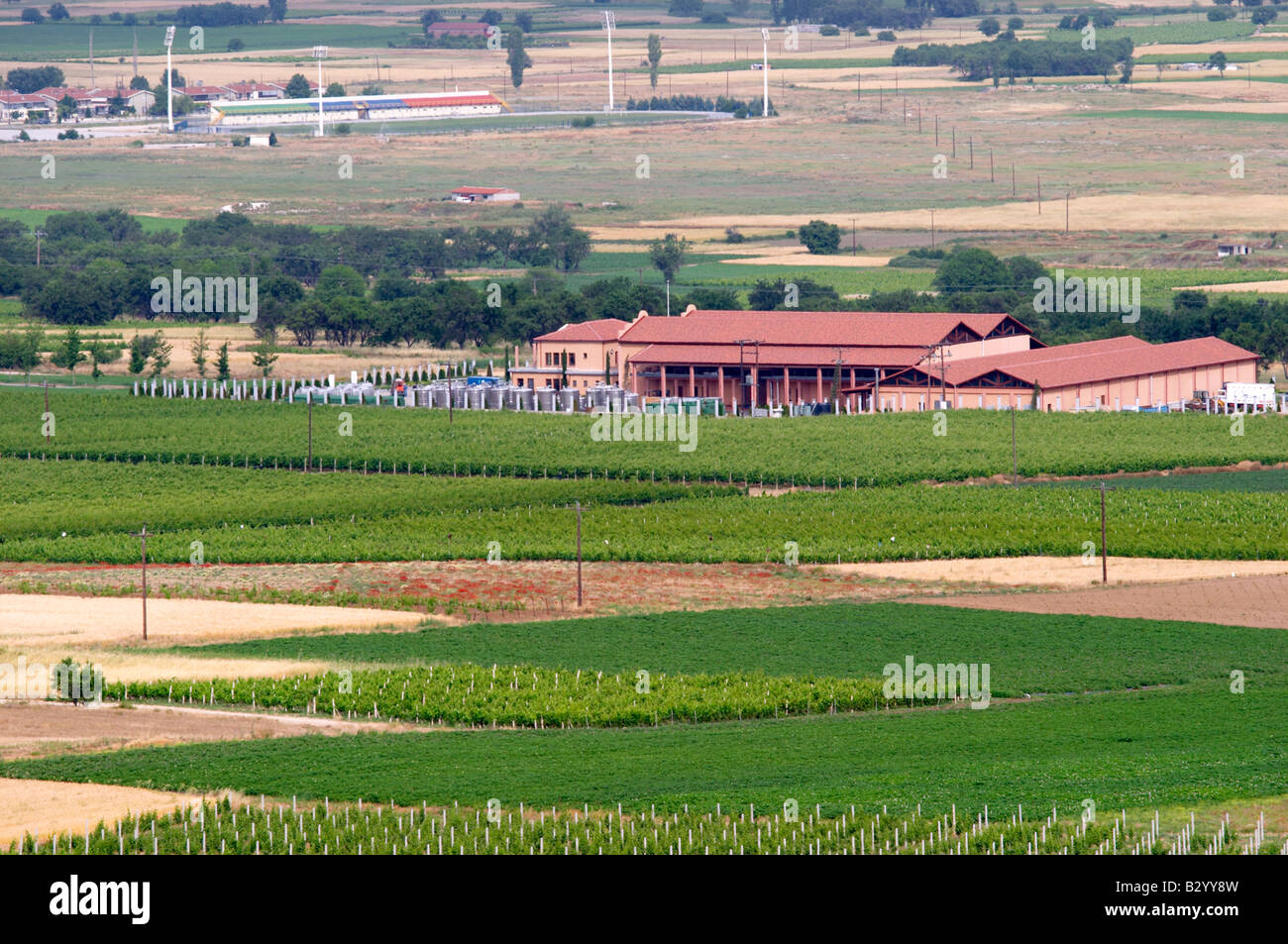 Vineyard. Winery building. Alpha Estate Winery, Amyndeon, Macedonia ...