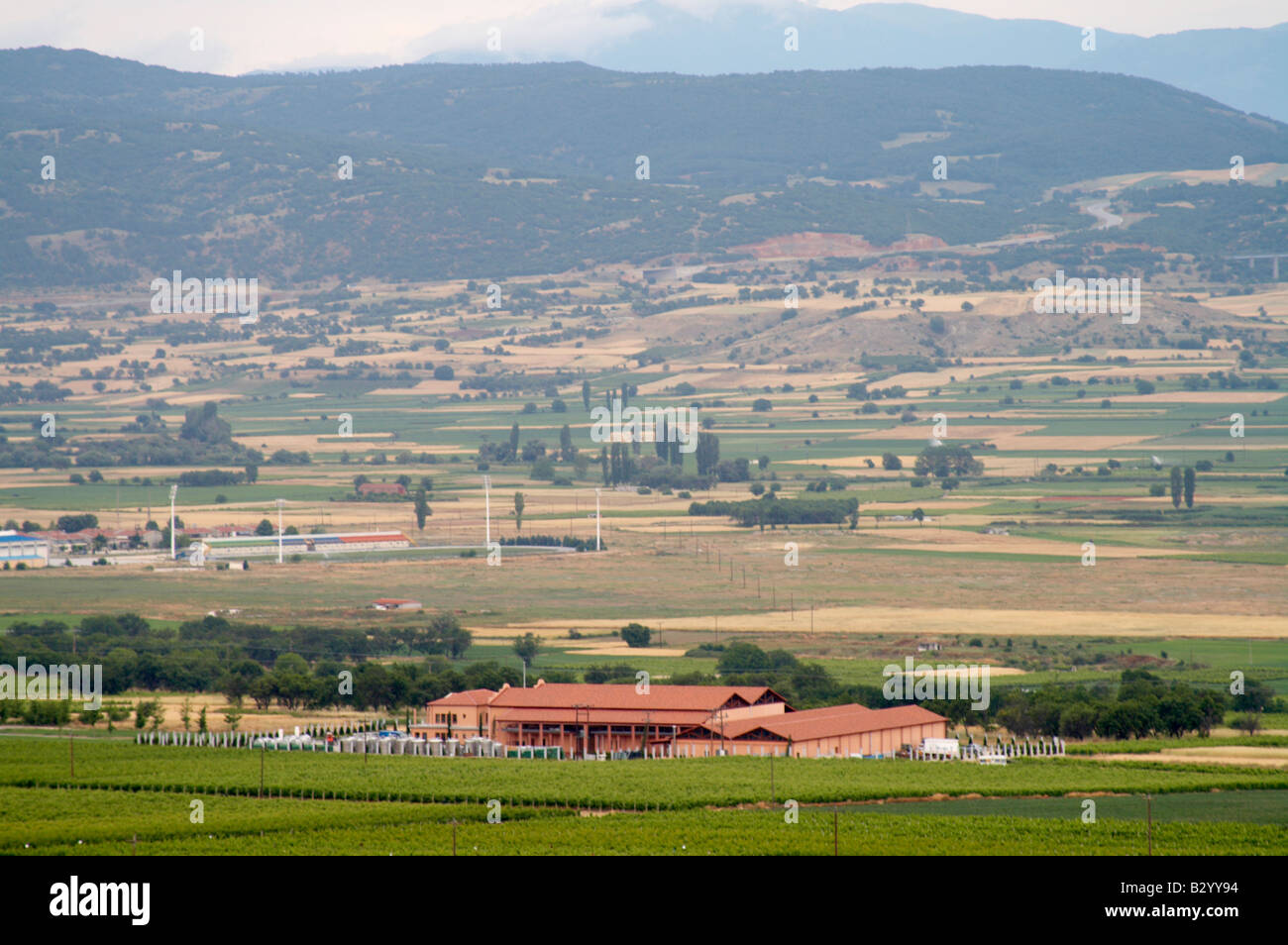 Vineyard. Winery building. Alpha Estate Winery, Amyndeon, Macedonia ...