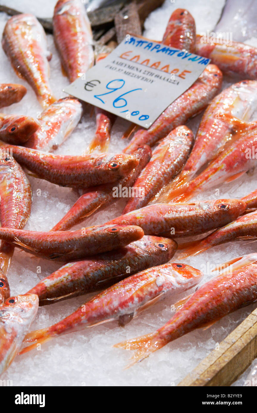 Macedonian Food Fish