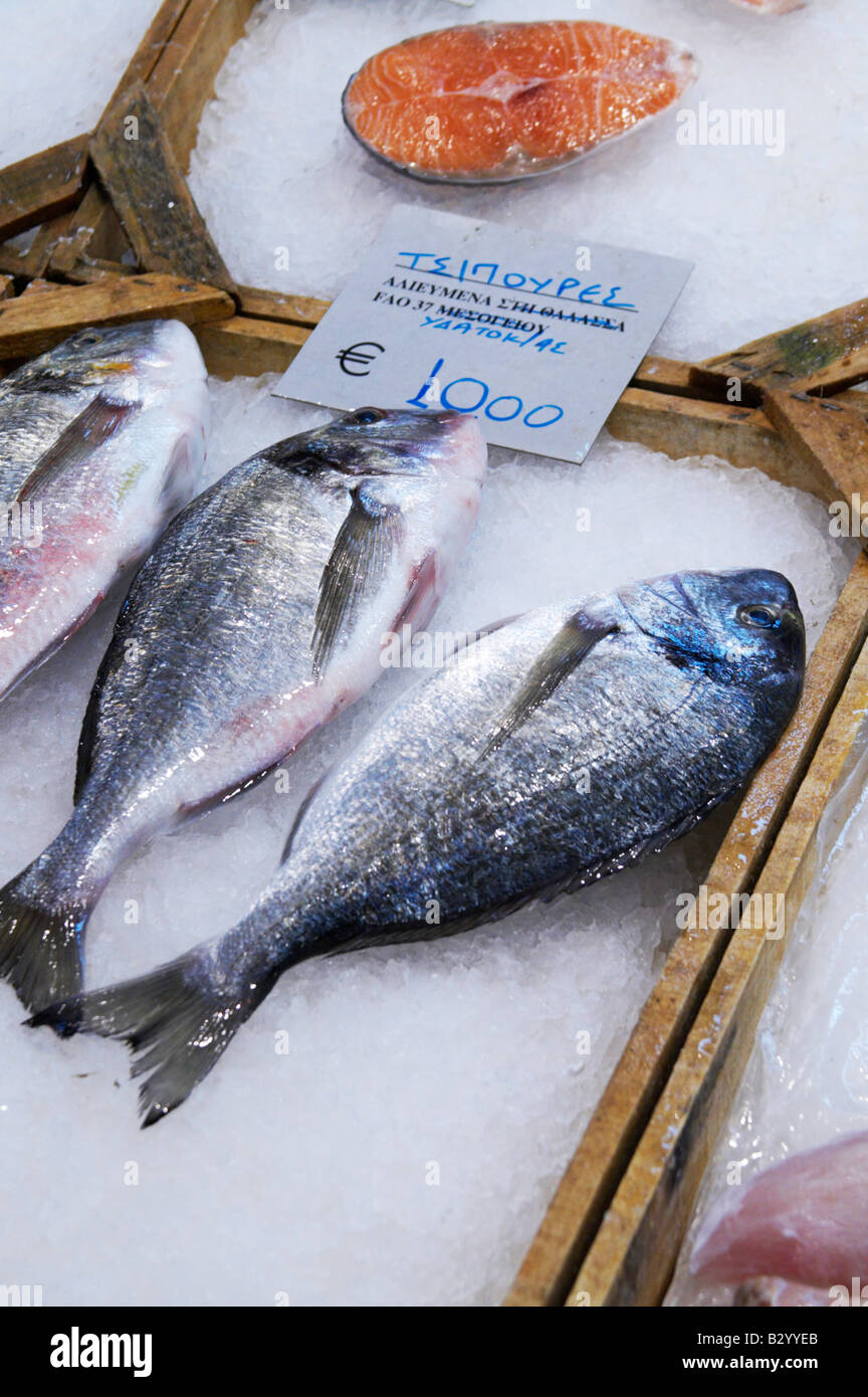 Macedonian Food Fish
