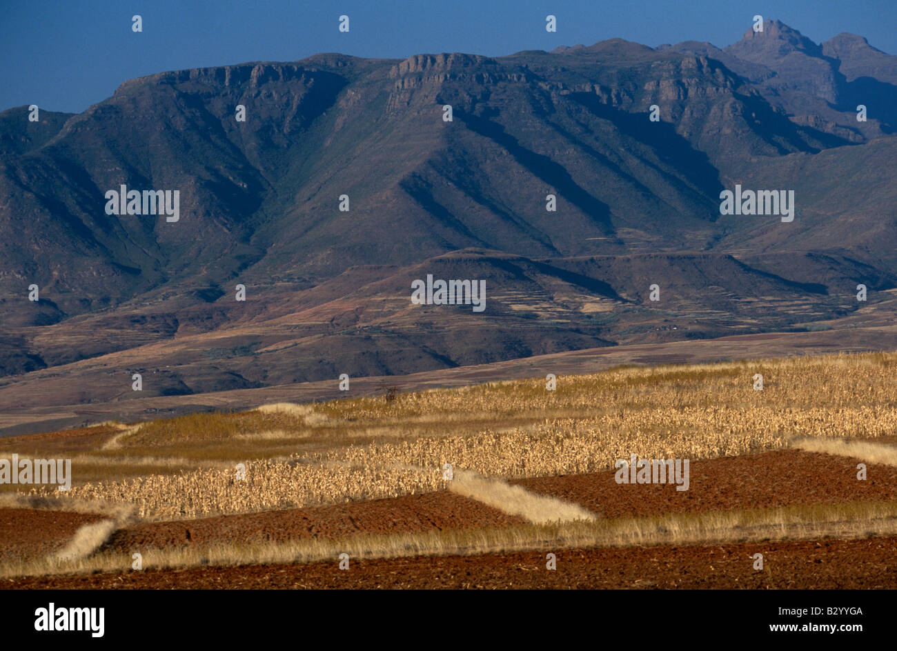 Farmed land view mountain hi-res stock photography and images - Alamy