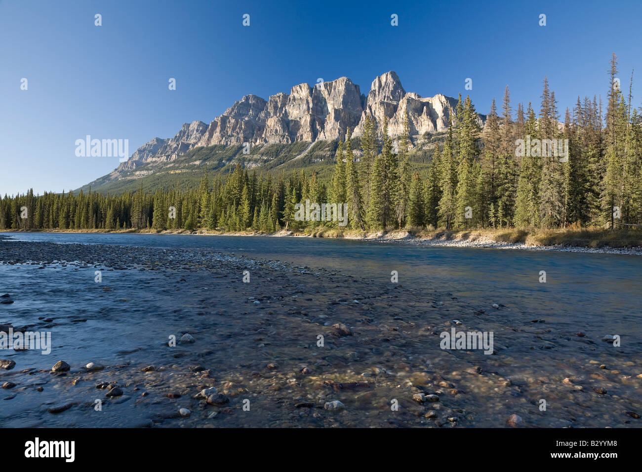 River, Forest and Mountains, Banff National Park, Alberta, Canada Stock ...