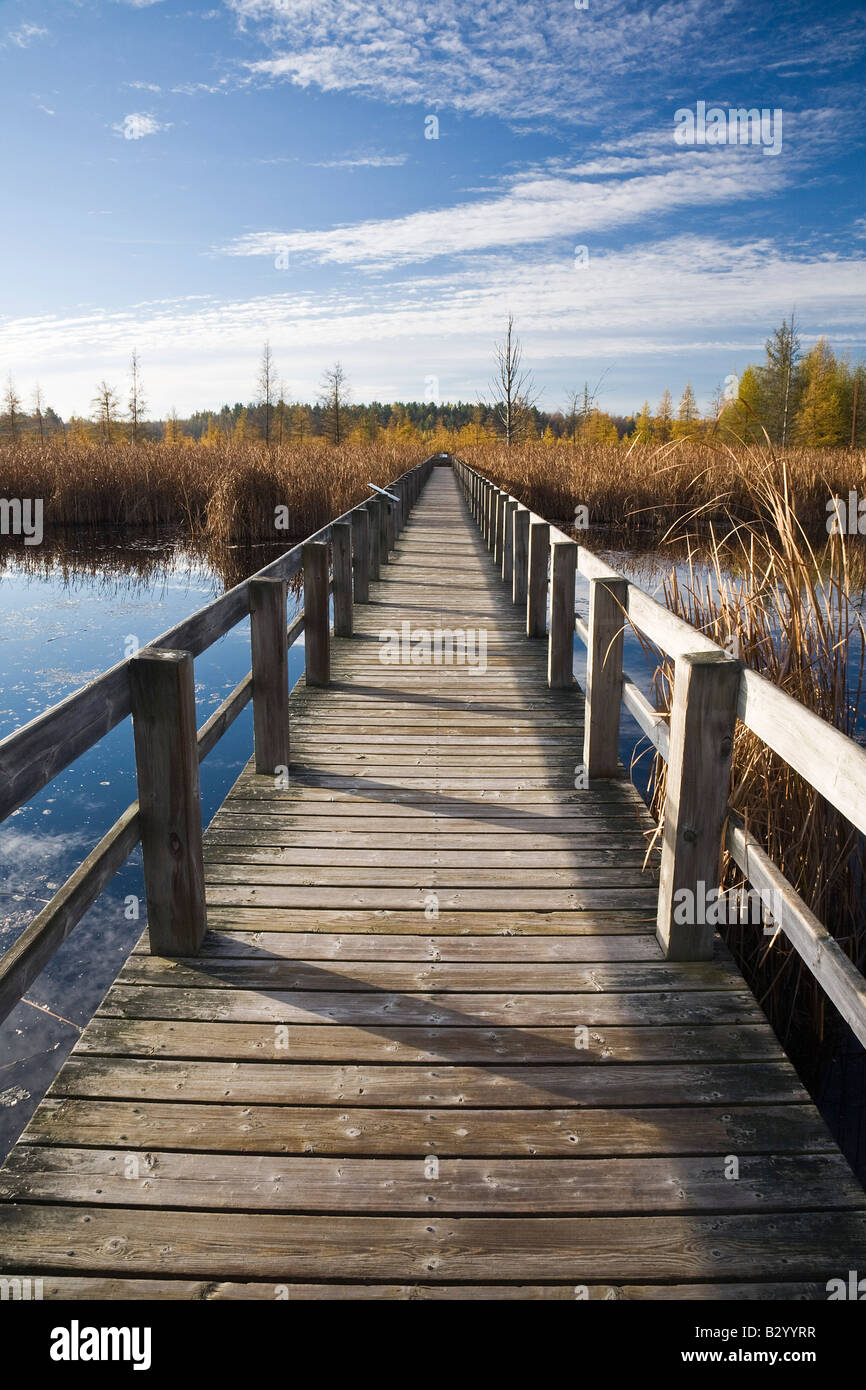 Boardwalk in Bog, Mer Bleue Conservation Area, Ottawa, Ontario, Canada ...