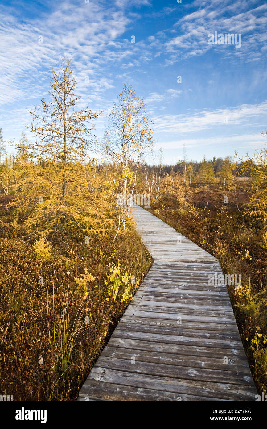 Boardwalk in Bog, Mer Bleue Conservation Area, Ottawa, Ontario, Canada ...