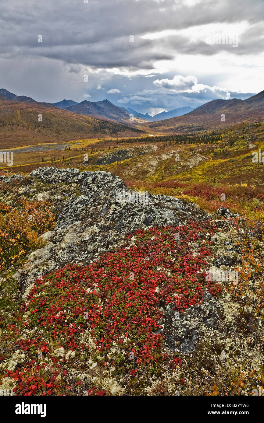 Alpine Tundra in Autumn, Tombstone Territorial Park, Yukon, Canada ...