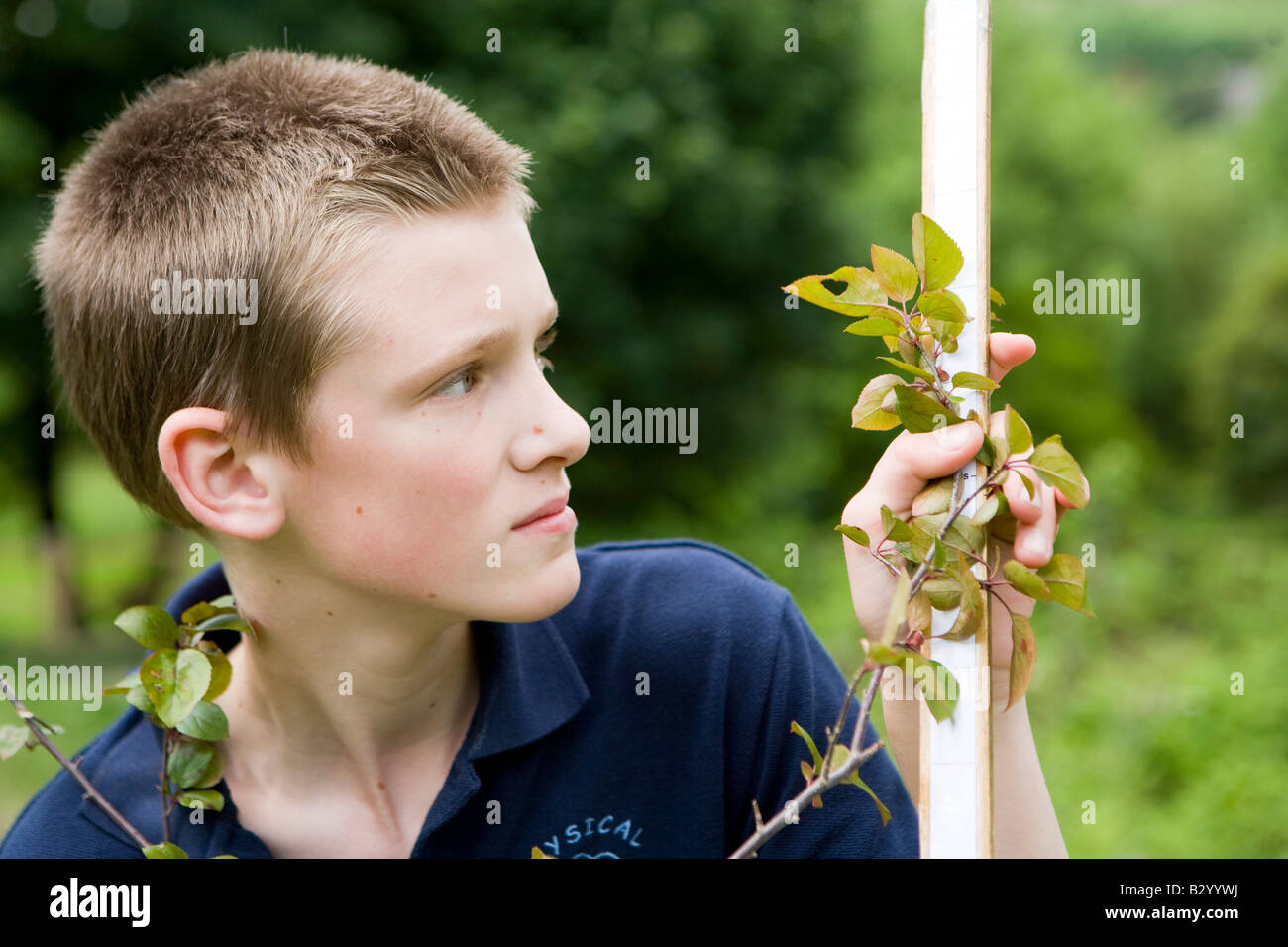 Emily Tree's Instagram, Twitter & Facebook on IDCrawl