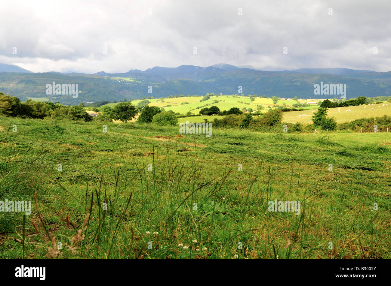 Open green fields stand before the mountainous backdrop of rambling ...