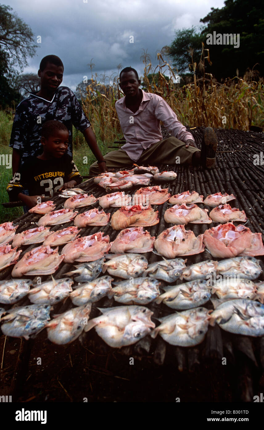 Men laying fish out to dry. Malawi, Mozambique Stock Photo - Alamy