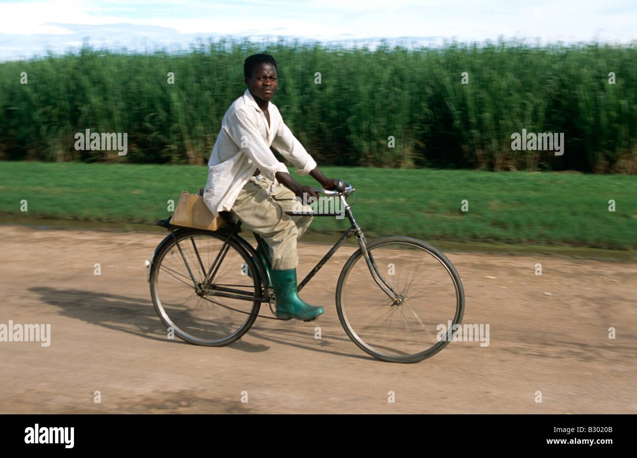 Farm worker riding a bicycle through a field in Malawi Stock Photo - Alamy