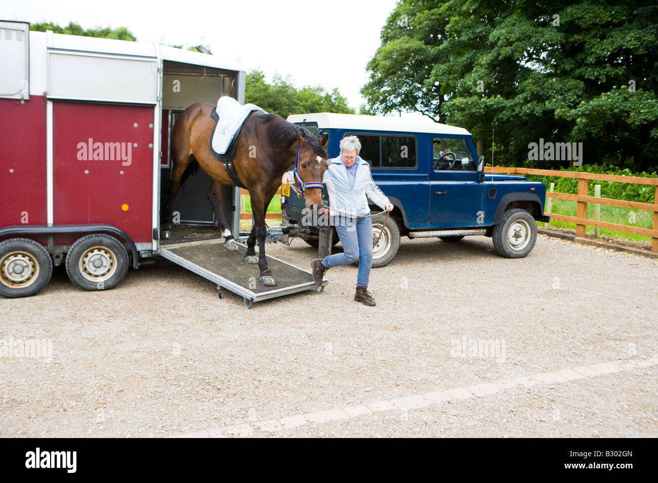 Horsebox hi-res stock photography and images - Alamy