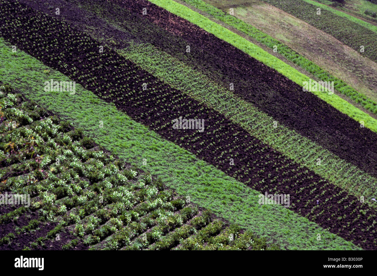 South america ecuador chimborazo hi-res stock photography and images ...