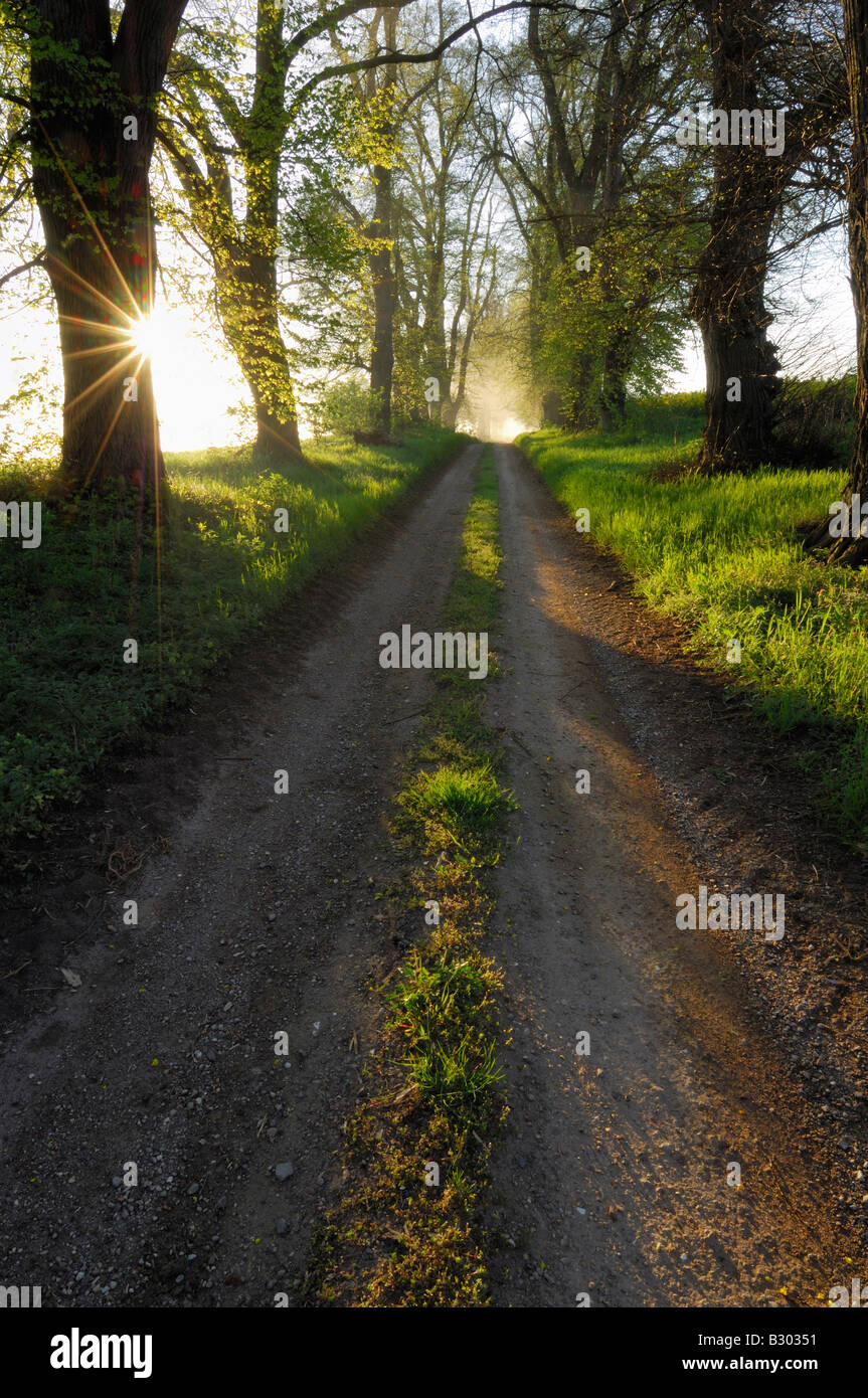 Serenity through the lens hi-res stock photography and images - Alamy