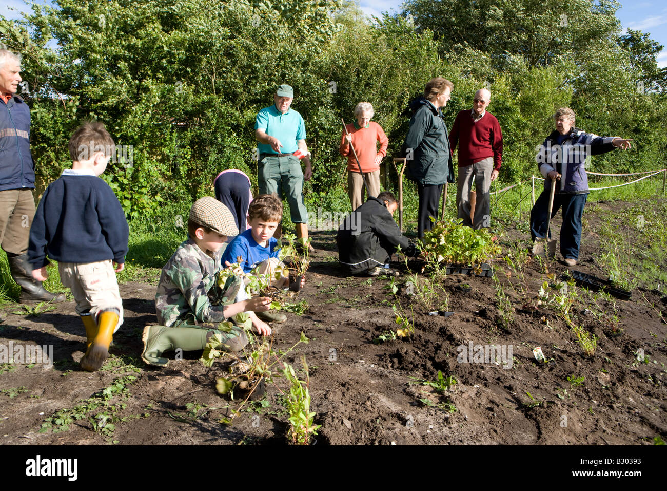 Working to restore wildlife hi-res stock photography and images - Alamy