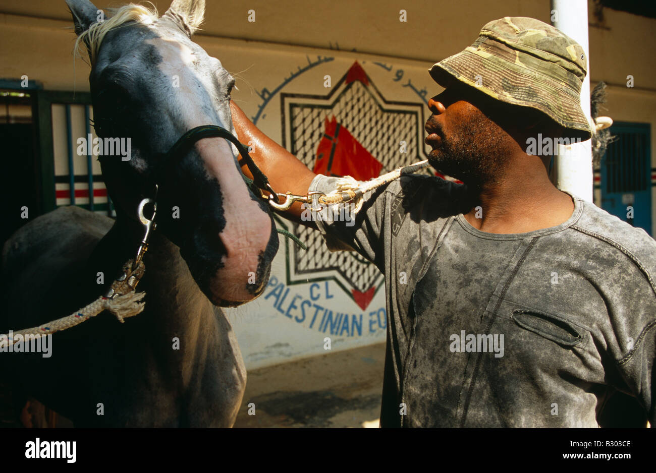 The Jericho Equestrian Club in Palestine Stock Photo - Alamy
