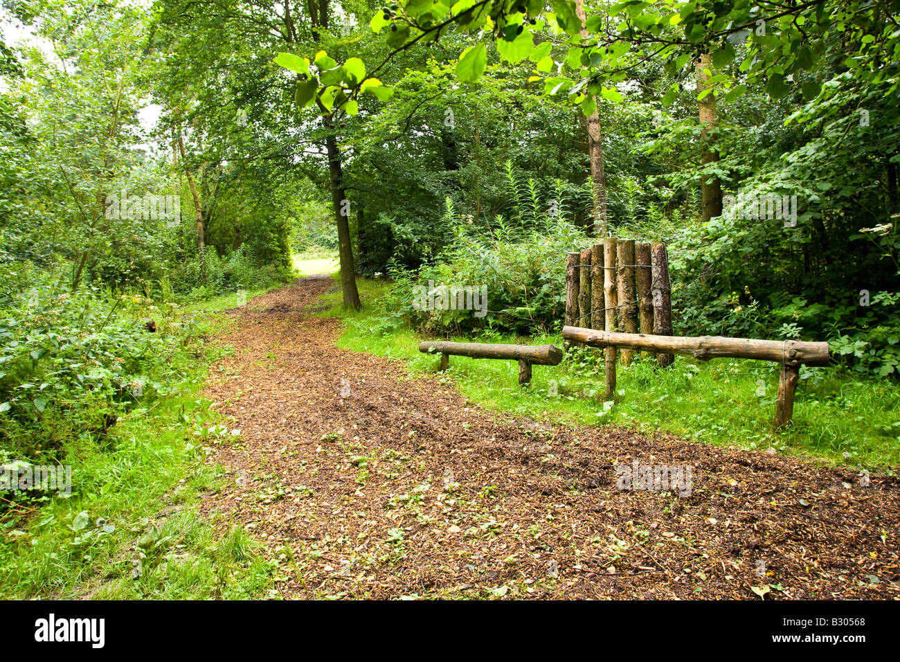 Woodchip path hi-res stock photography and images - Alamy