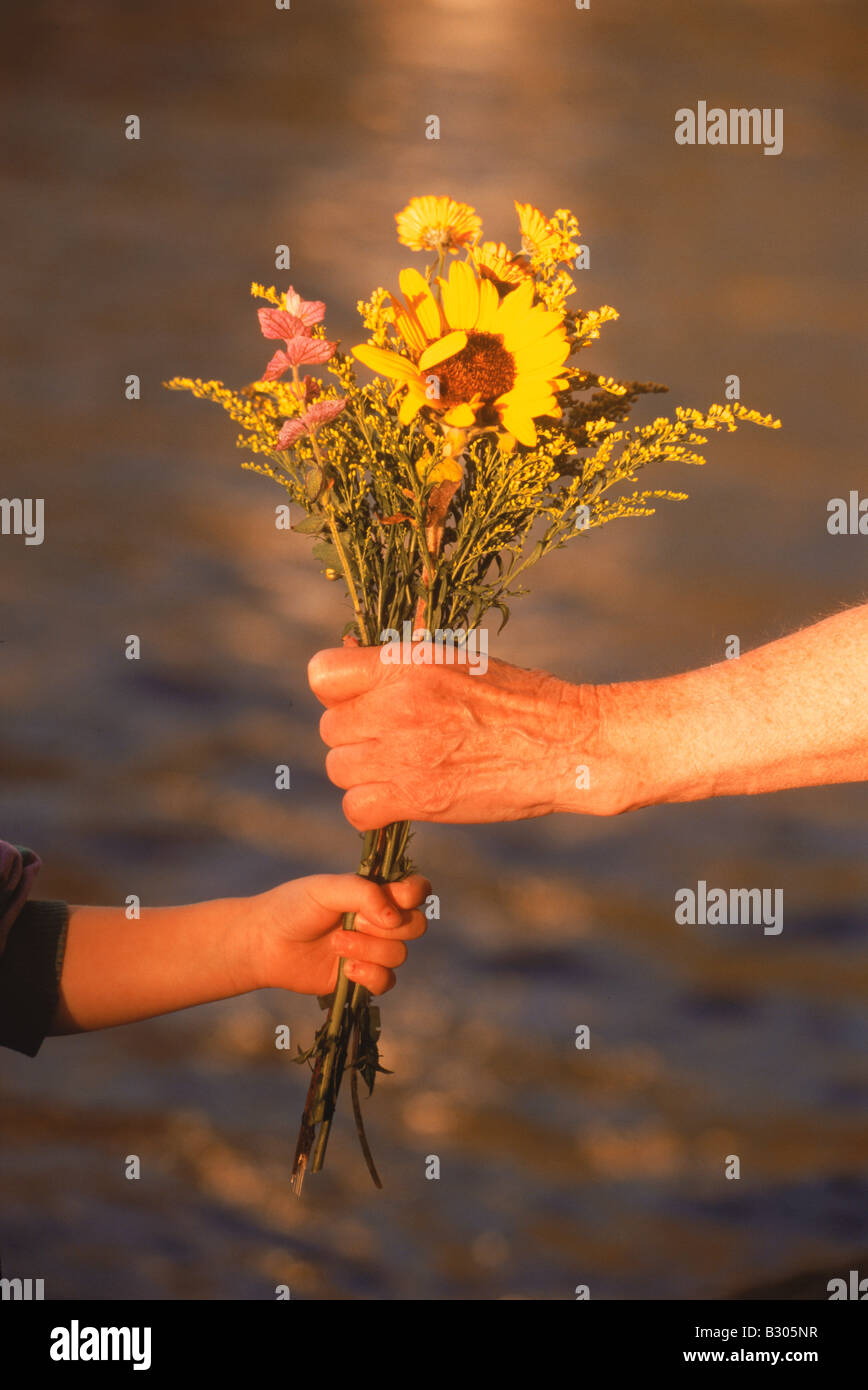 Two children offering flowers hi-res stock photography and images - Alamy