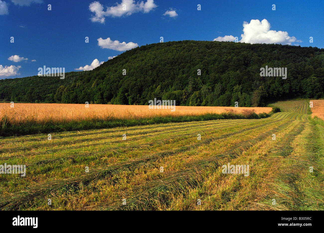 Polish Poland landscape scenery Stock Photo - Alamy
