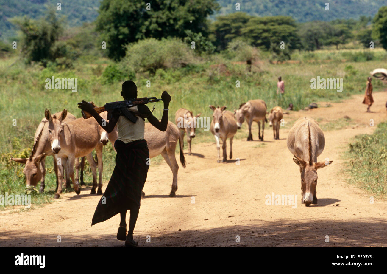 Herd protection donkey hi-res stock photography and images - Alamy