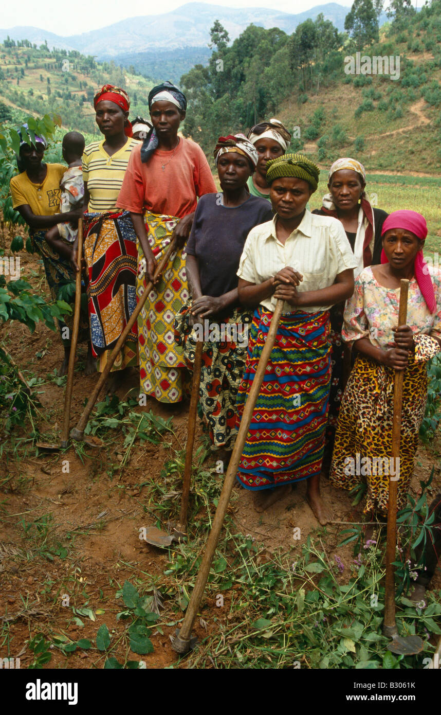 Africa agriculture project hi-res stock photography and images - Alamy