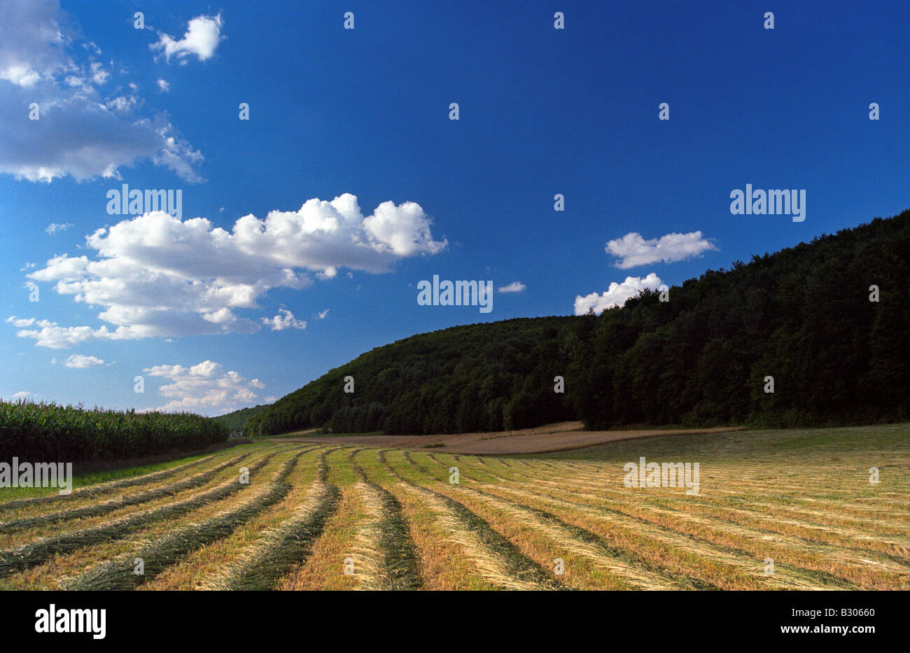 Polish Poland landscape scenery Stock Photo - Alamy