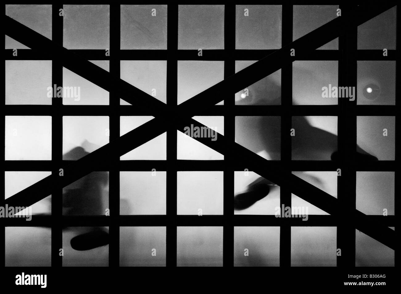 Someone Being Followed