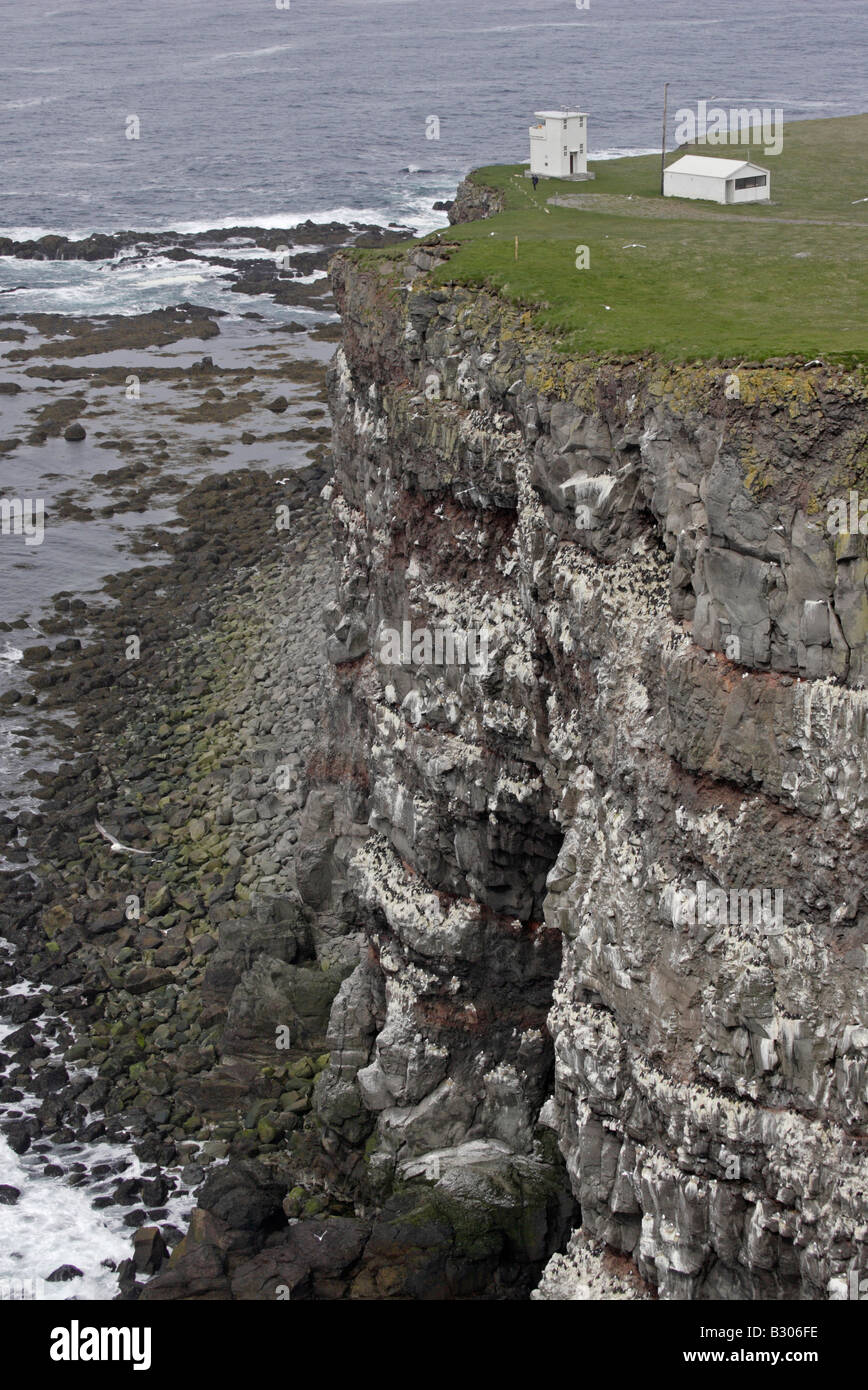 Latrabjarg bird cliff hi-res stock photography and images - Alamy