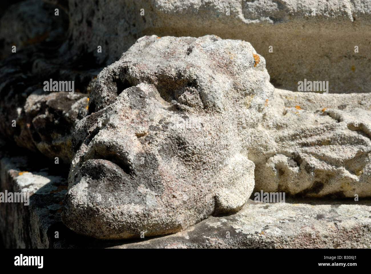 Skull buried hi-res stock photography and images - Alamy