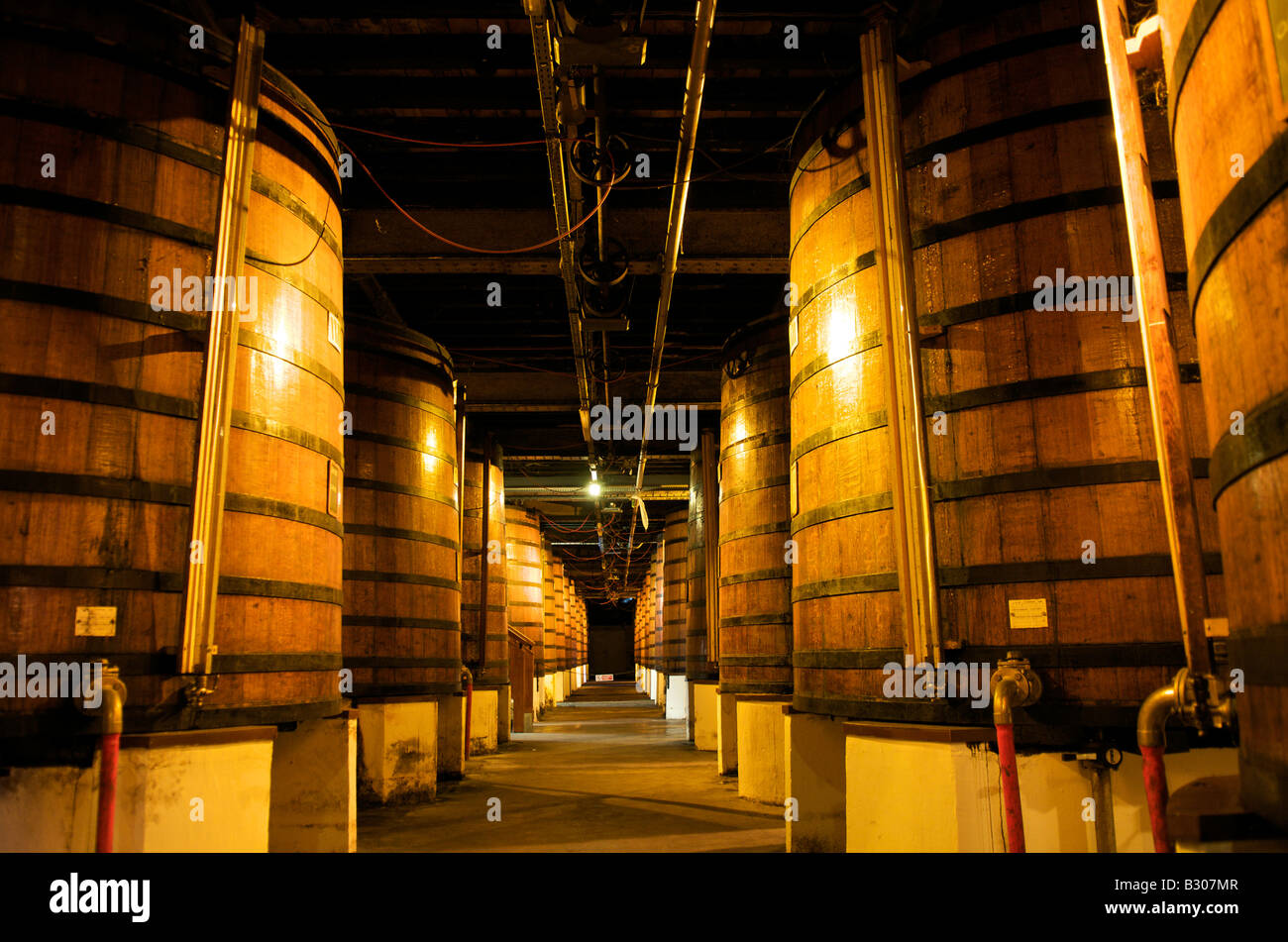 Casks of Martell brandy in Cognac France Stock Photo - Alamy