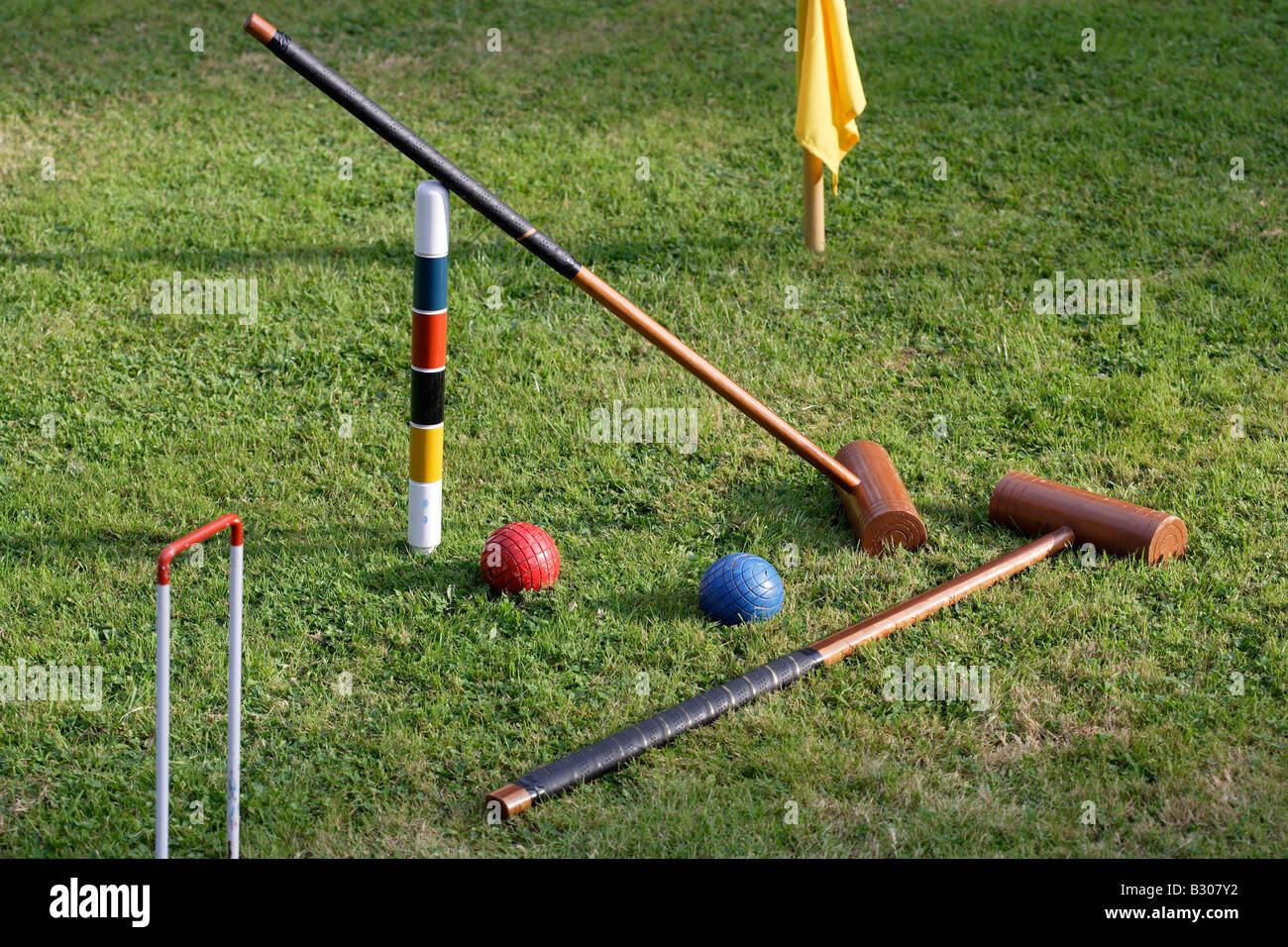 Croquet Ball Game